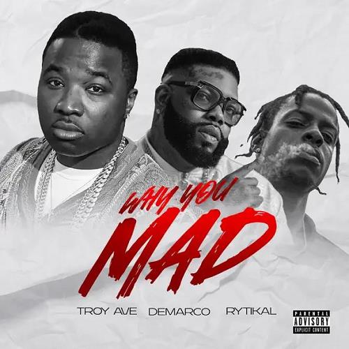 Troy Ave, Demarco & Rytikal feat. Dre Day - Why You Mad (Jamaica Clean ...